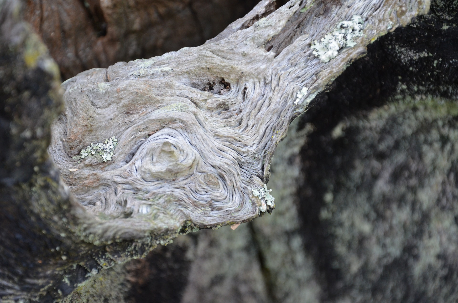 Raw Wood – Comanche Lumber